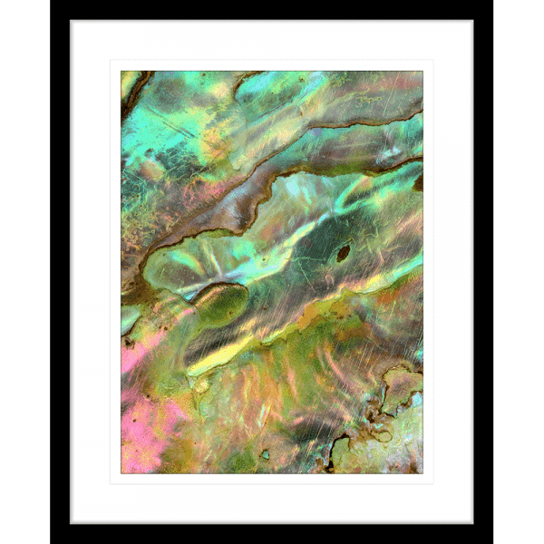 Pacific Paua #01 - Mint Art Co