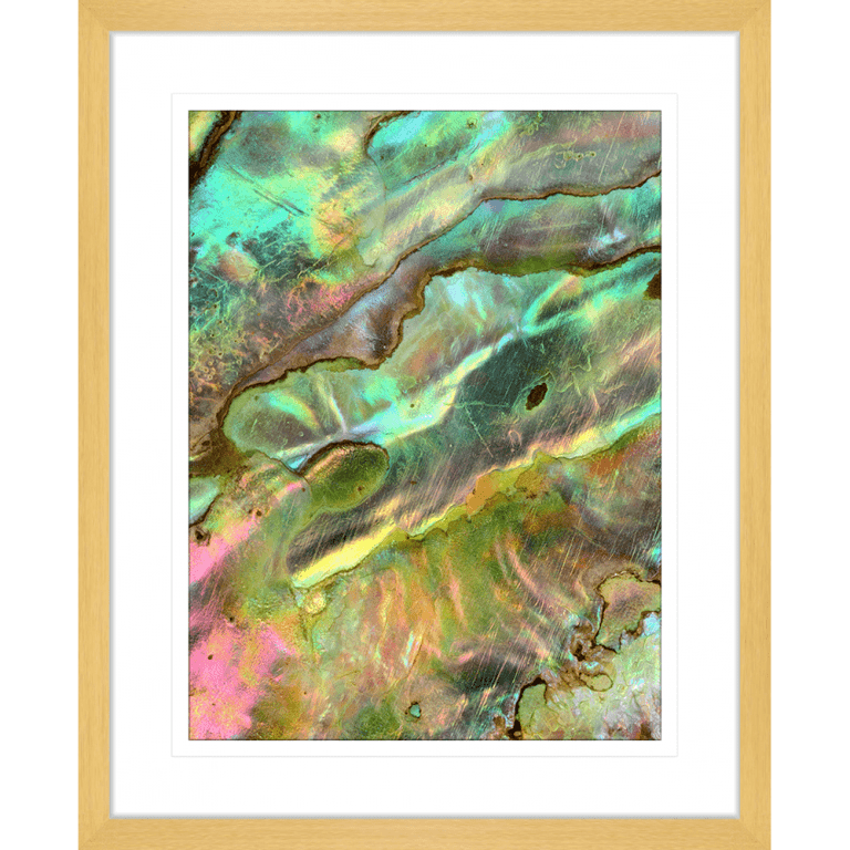 Pacific Paua #01 - Mint Art Co
