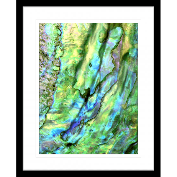 Pacific Paua #01 - Mint Art Co