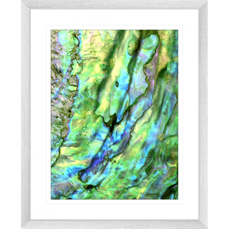 Pacific Paua #02 - Mint Art Co