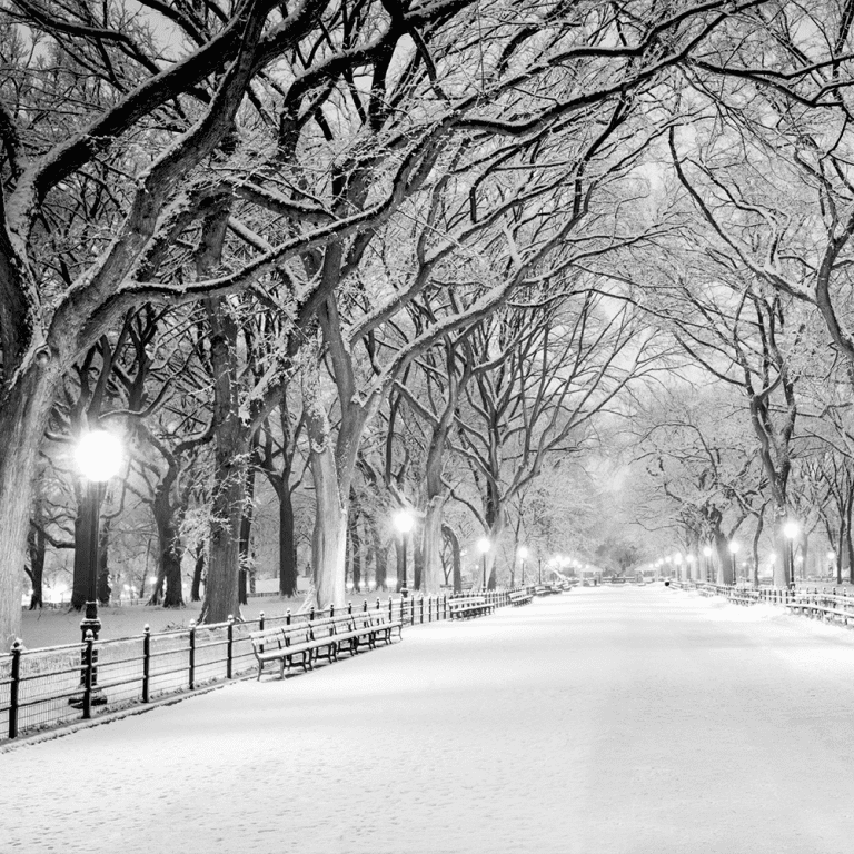 Winter Walkway - Wallpaper Mural - Mint Art Co